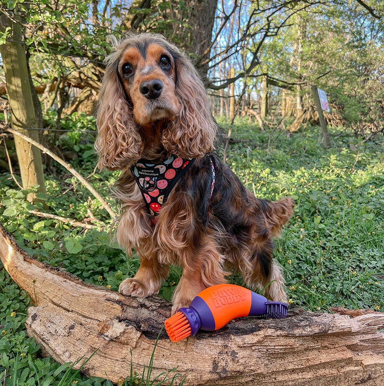 Paw Buddy - Puppy & Dog Paw Cleaner – BootBuddy®