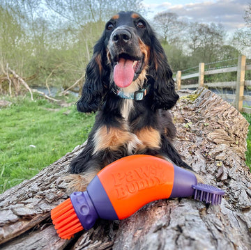 Paw Buddy - Puppy & Dog Paw Cleaner – BootBuddy®