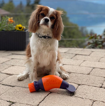 Paw Buddy - Puppy & Dog Paw Cleaner – BuddyBrands®
